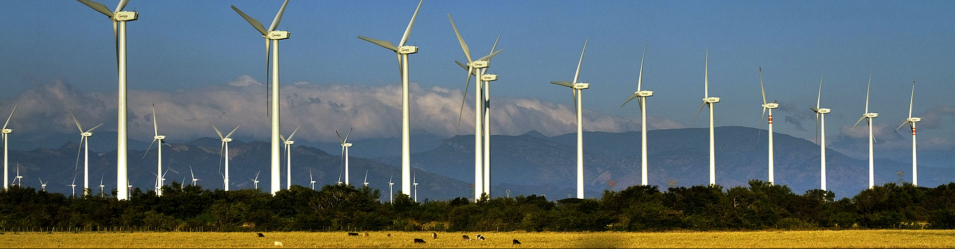 Coalsa - Armarios eléctricos metálicos, inoxidable o poliéster